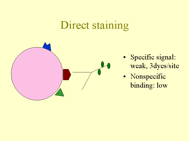 Direct staining