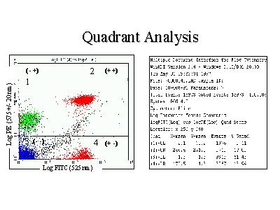 Quadrant Analysis